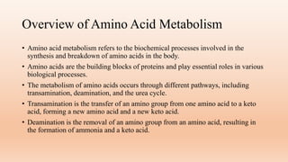 The Pathways of Amino Acid Metabolism.pptx