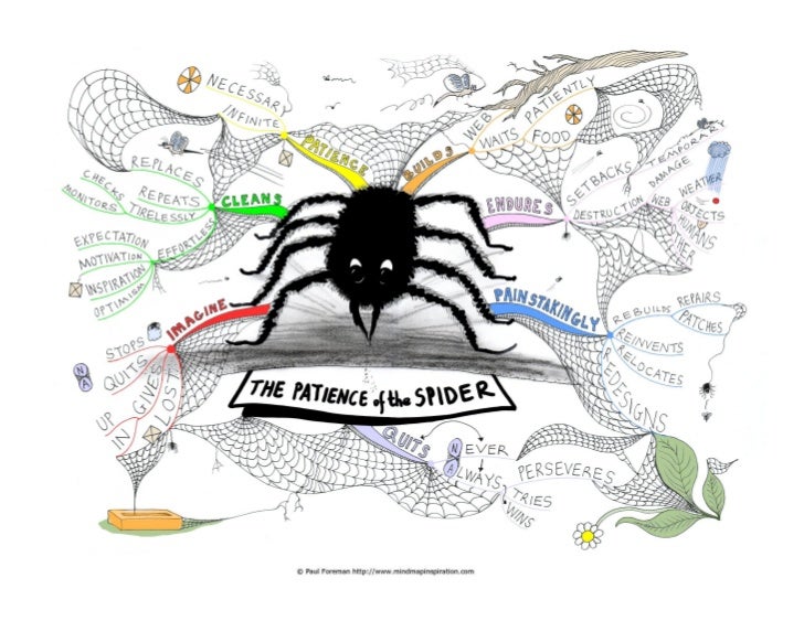 The Patience of the Spider Mind Map