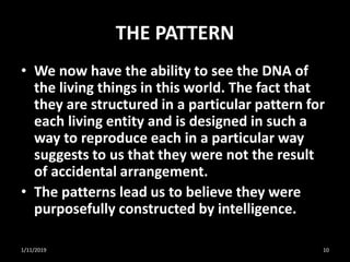 The Pattern | PPTX