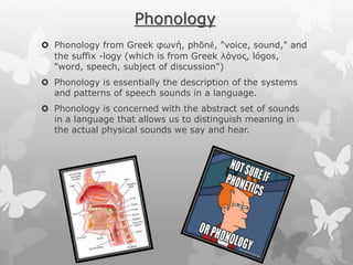 The patterns of sounds | PPTX