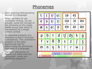 The patterns of sounds | PPTX