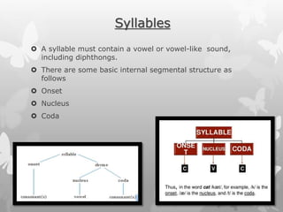 The patterns of sounds | PPTX