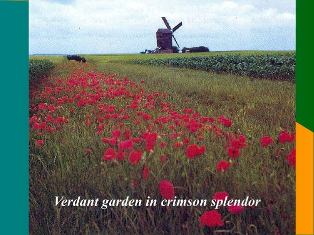 The Paulinian Story & History | PPT | Christianity | Religion ...