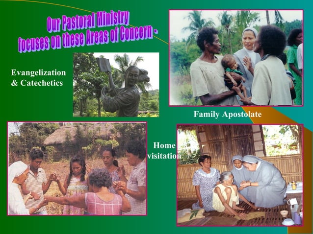 The Paulinian Story 2 | PPT