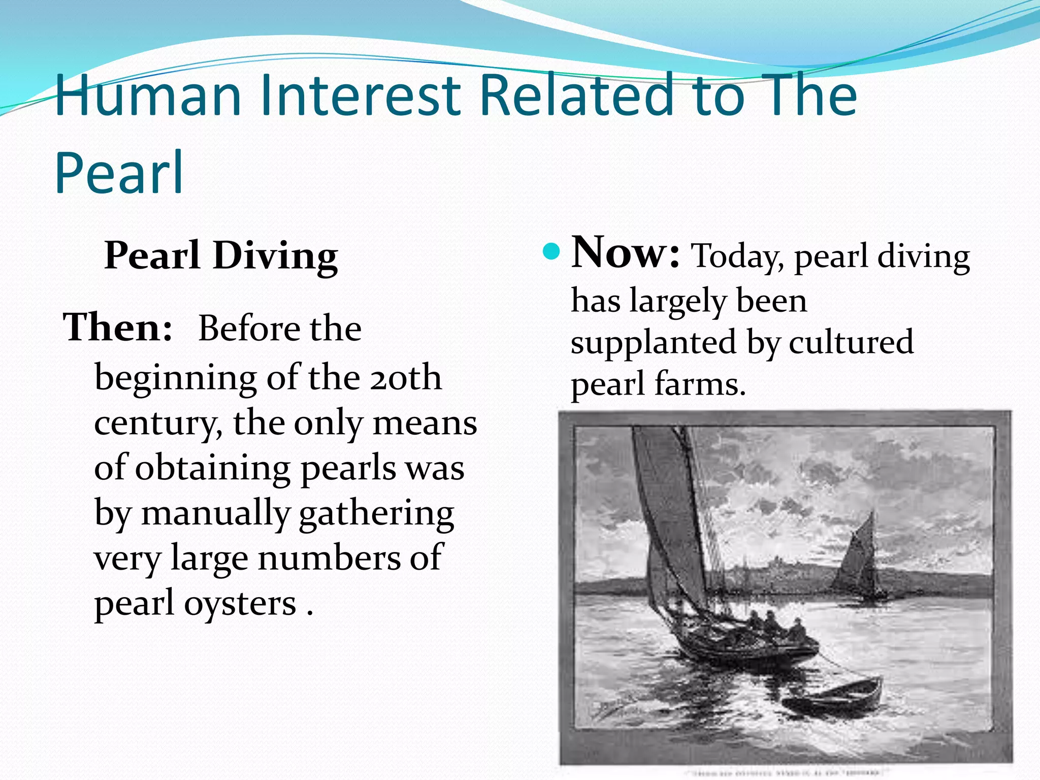 The pearl | PPT