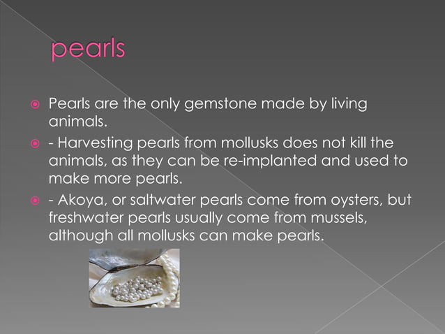 The Pearl | PPT