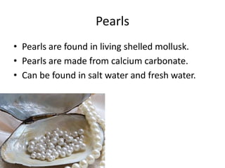 The Pearl | PPT