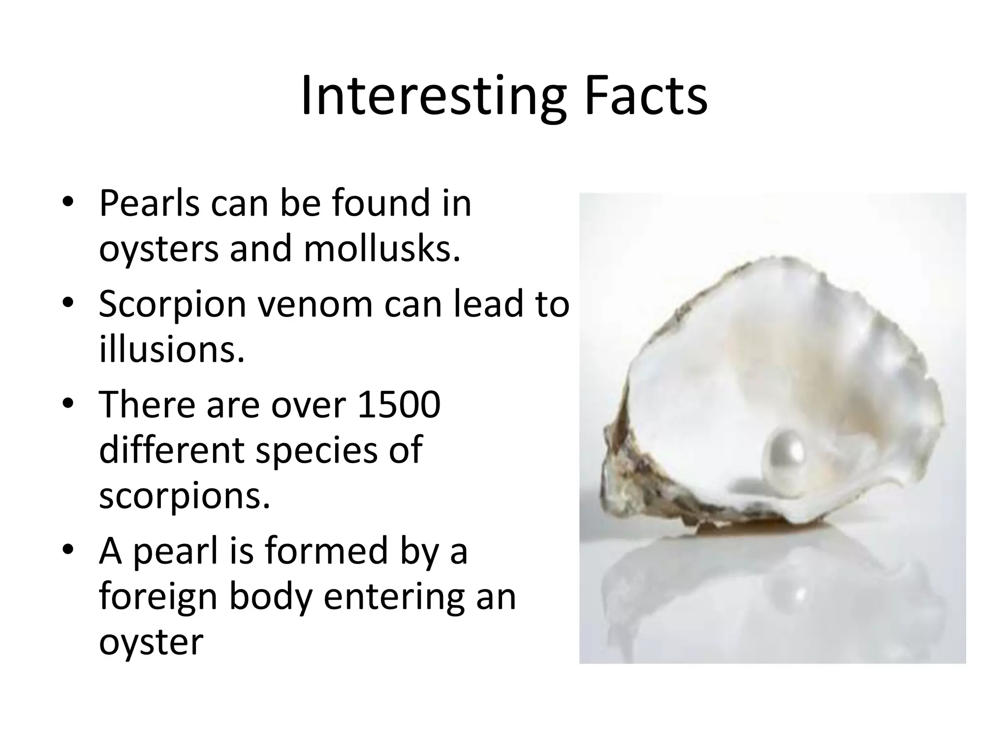 The pearl slideshow | PPTX