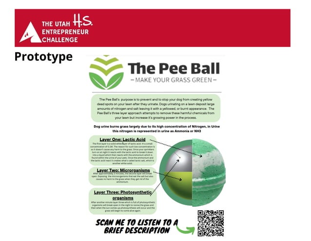 The Pee Ball | PPT