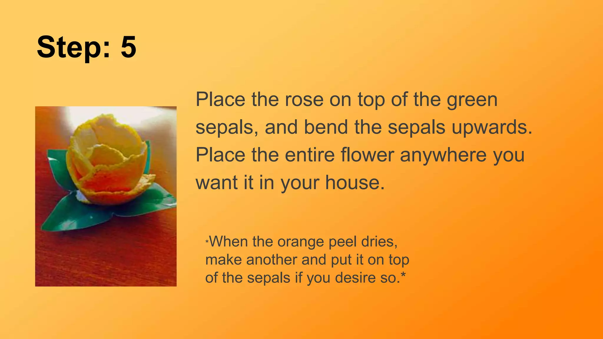 The peel powerpoint | PPTX