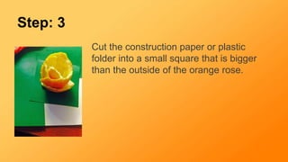 The peel powerpoint | PPTX