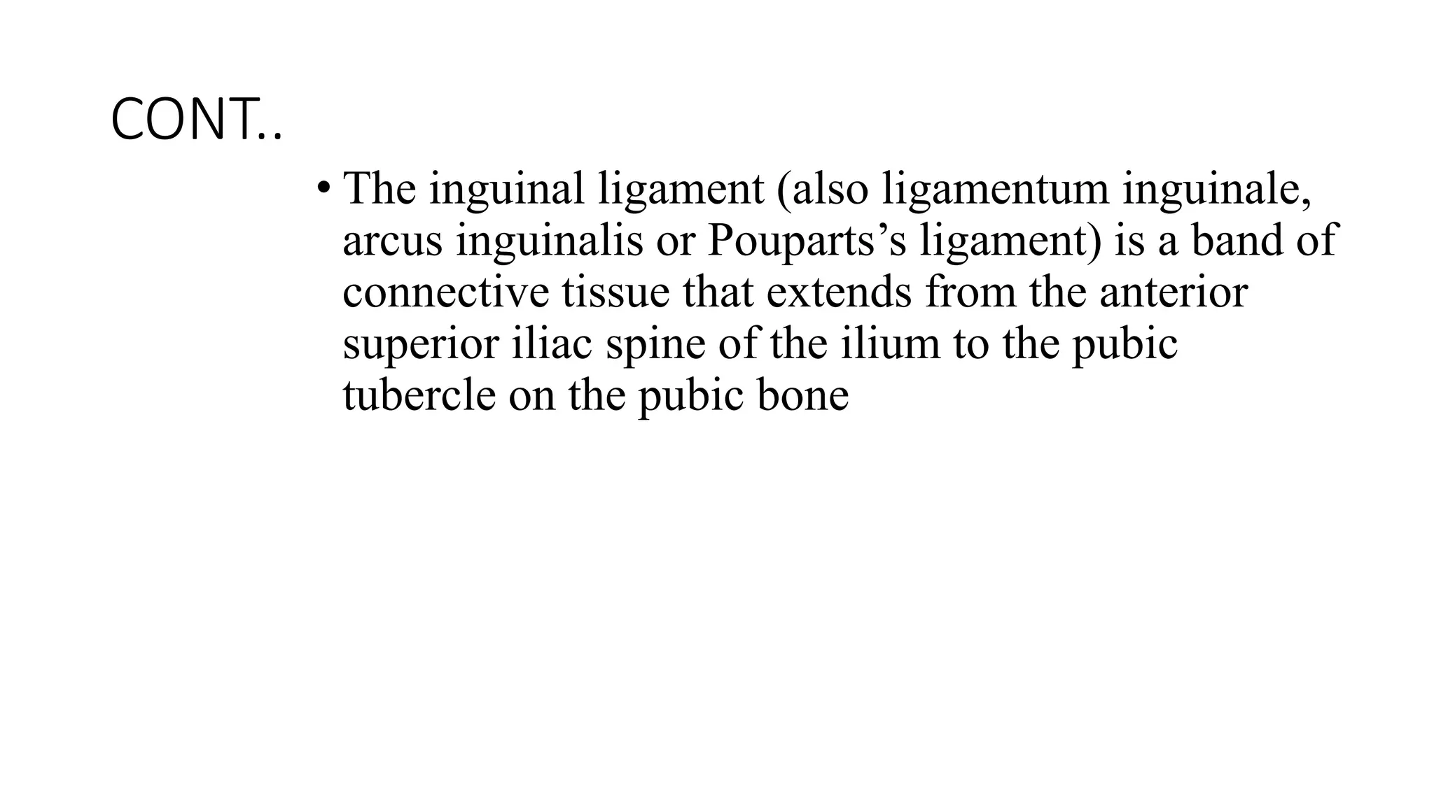 The Pelvis.pptx