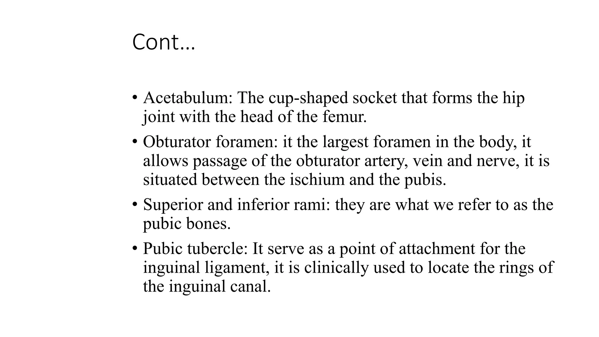 The Pelvis.pptx
