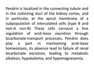 The pendred syndrome | PPT