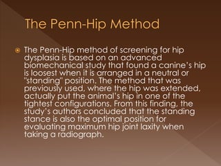 The Penn-Hip Method for Evaluating Hip Dysplasia | PPT