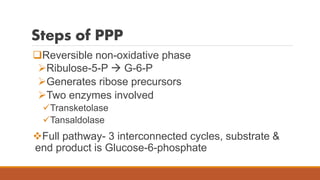 The pentose phosphate pathway | PPTX