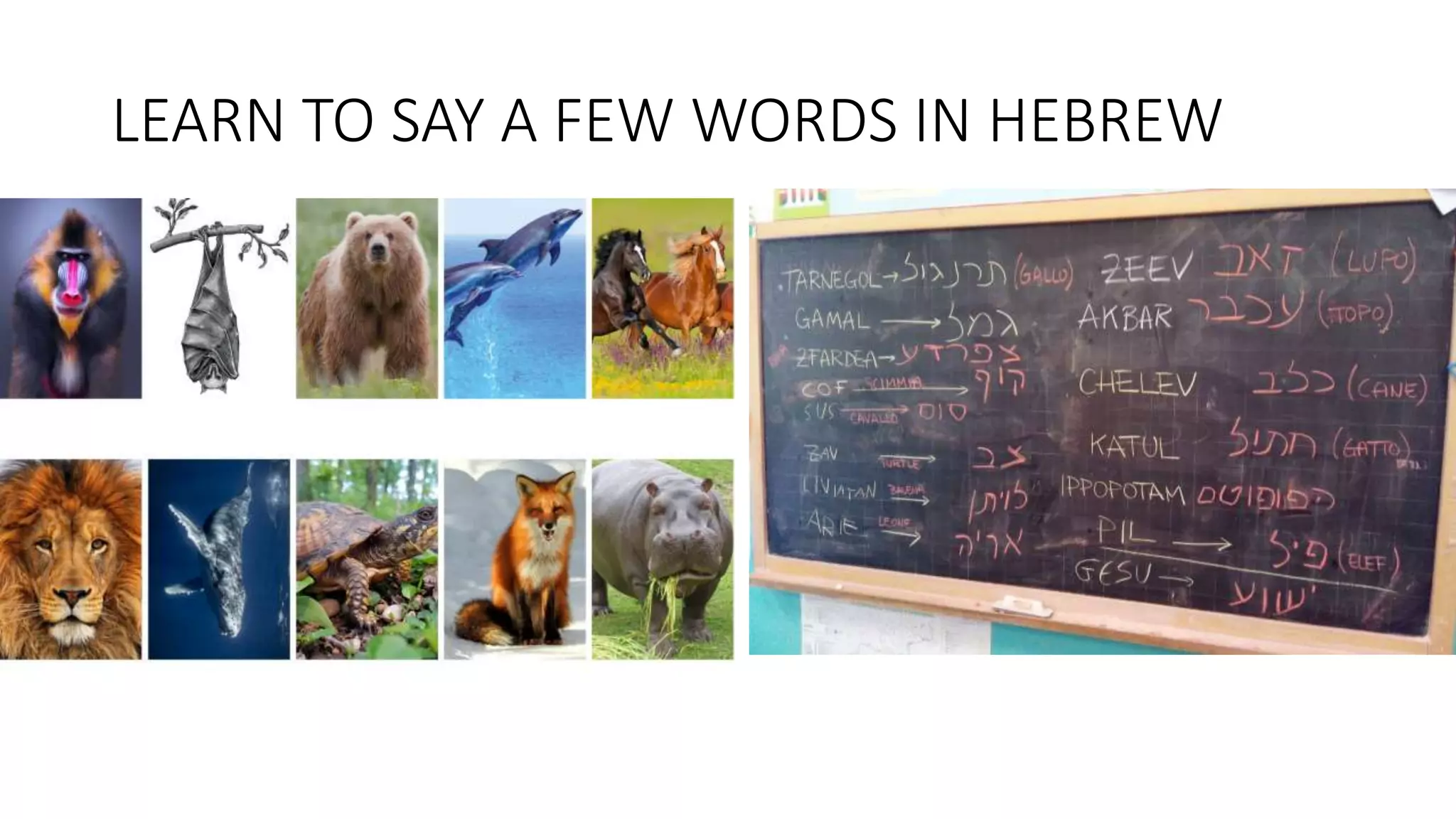 The people of Israel & the Hebrew language | PPT
