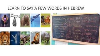 The people of Israel & the Hebrew language | PPT