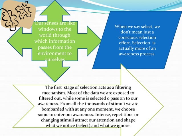 The perception process | PPSX