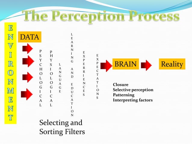 The perception process | PPSX