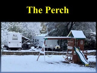 The Perch.pptx