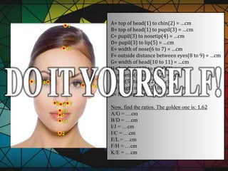 The perfect face | PPTX