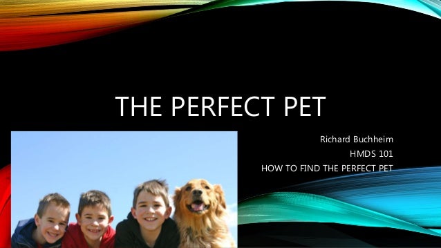 The perfect pet