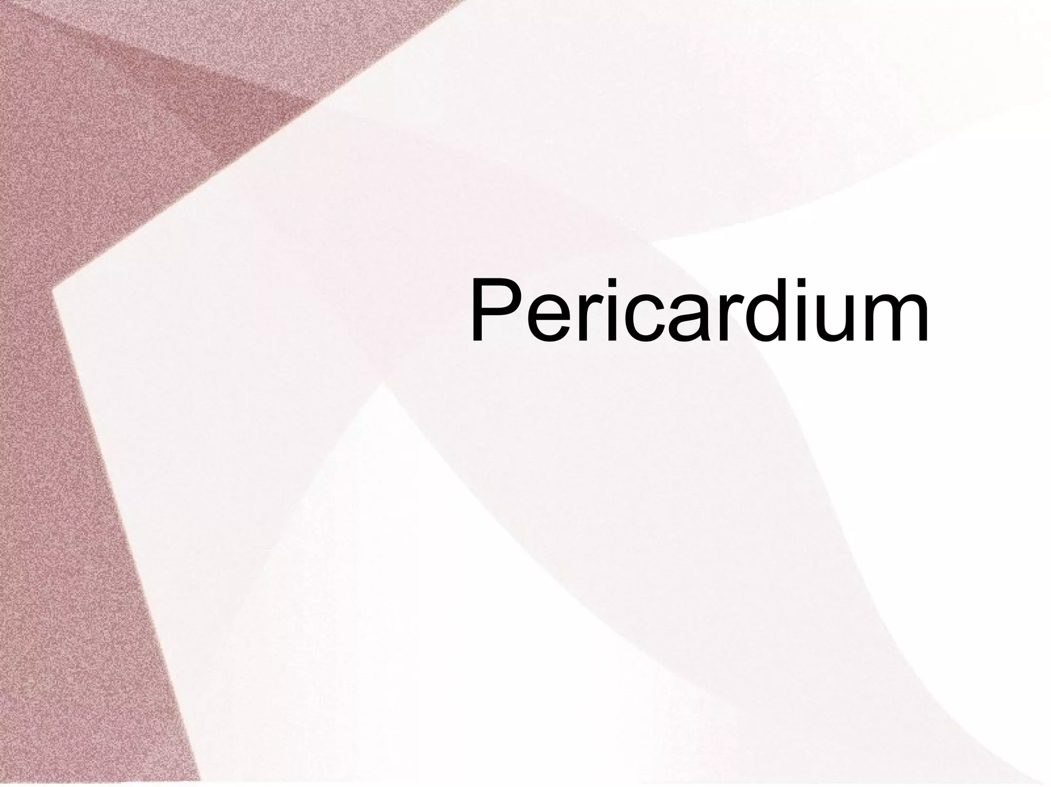 The pericardium | PPT