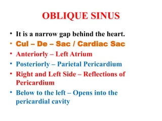 the pericardium of heart of human body ppt | PPTX