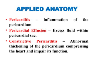the pericardium of heart of human body ppt | PPTX