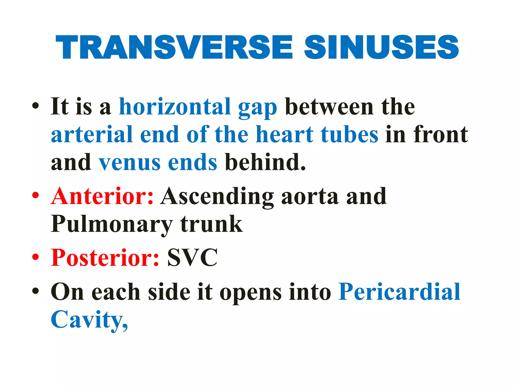 The pericardium | PPTX