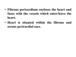 The pericardium | PPTX