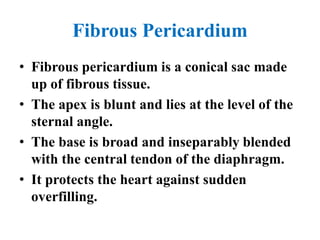 The pericardium | PPTX