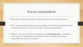 The pericardium and heart power point.pptx
