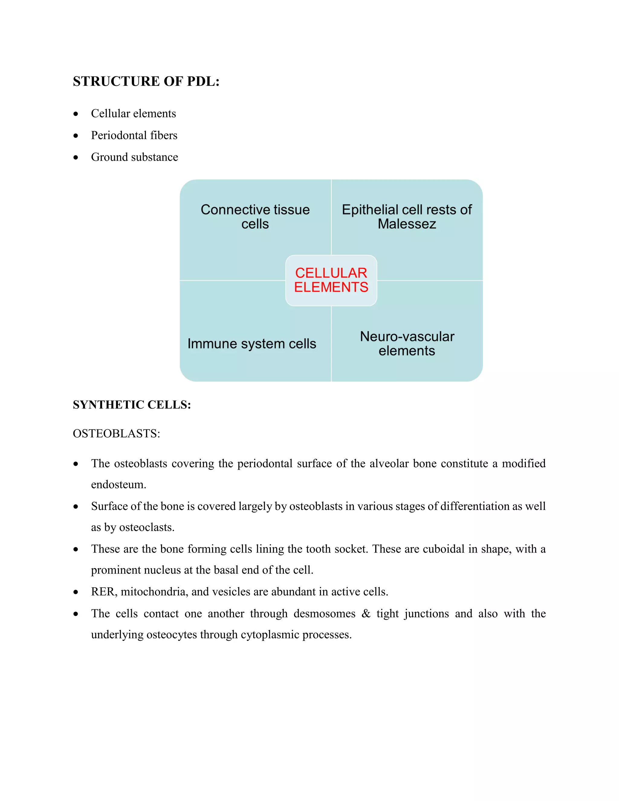 The periodontal ligament | PDF