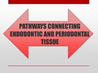 Perio Endo Inter-Relationship | PPTX