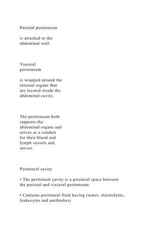 The Peritoneal CavityPart I Abdominal SonographyAbd.docx