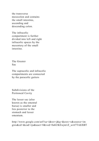 The Peritoneal CavityPart I Abdominal SonographyAbd.docx