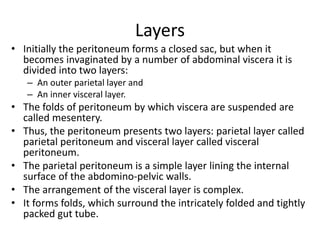 The peritoneum /anilum dhakalias | PPTX