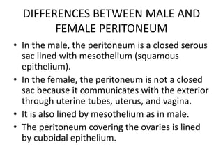 The peritoneum /anilum dhakalias | PPTX