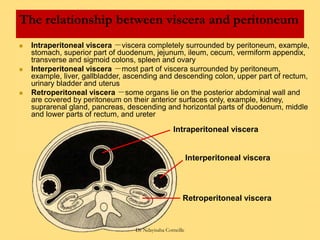 The peritoneum and peritoneal cavity.pptx