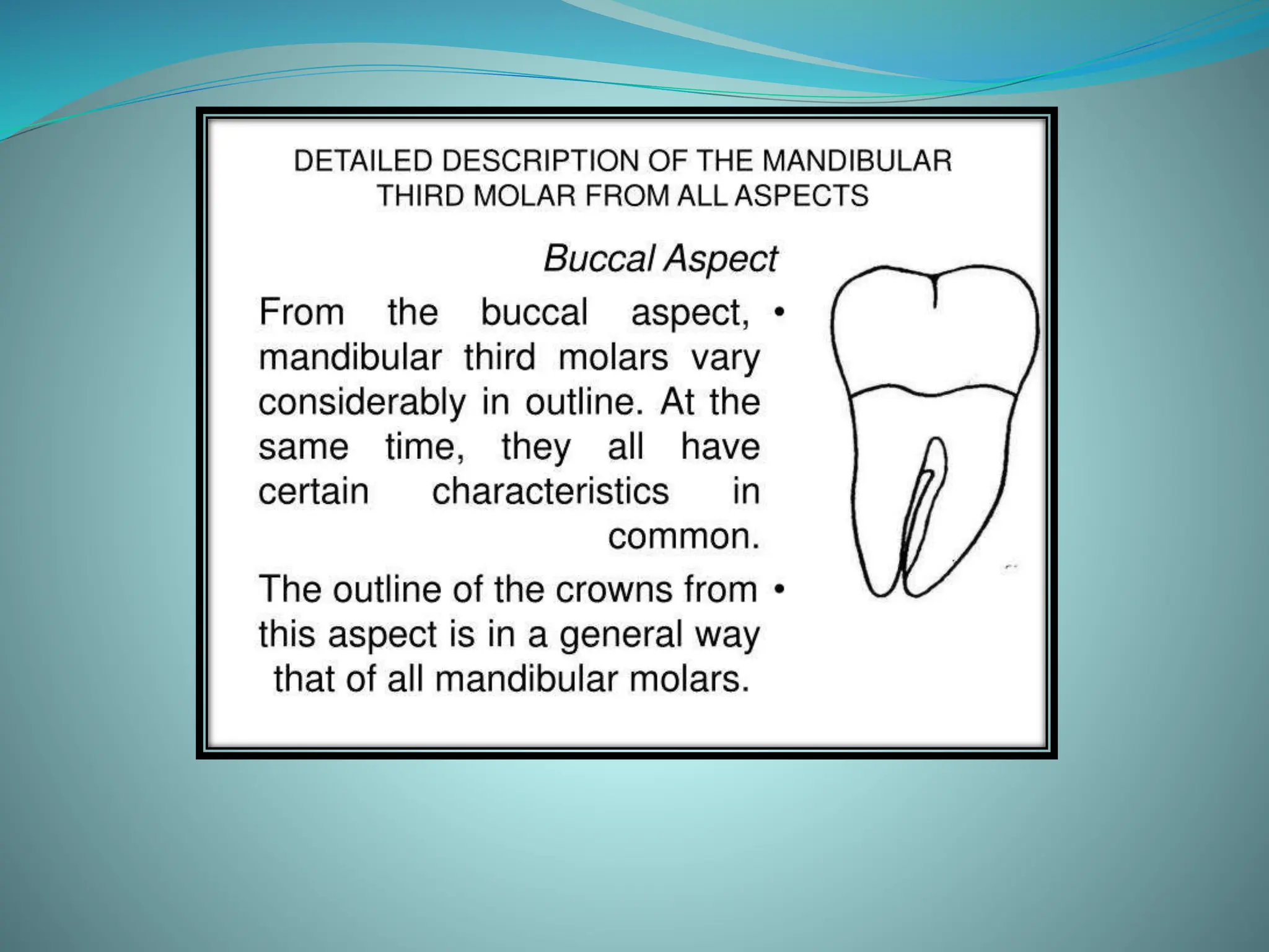 The Permanent third molar wisdom tooth.pptx