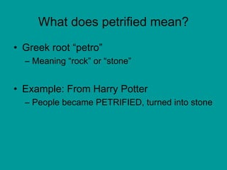 The Petrified Forest | PPT