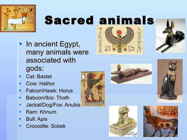 The pets of ancient egypt | PPT
