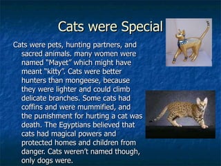 The pets of ancient egypt | PPT | Cats | Pets
