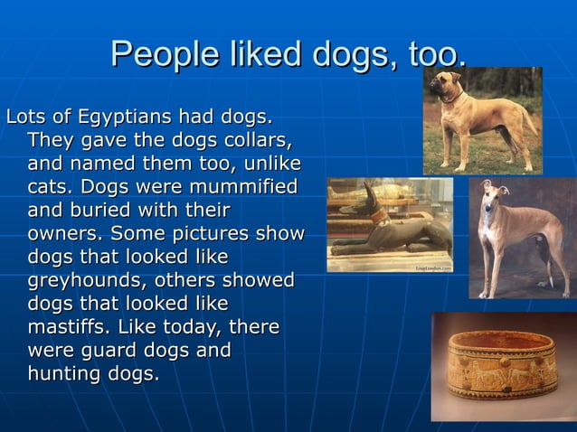 The pets of ancient egypt | PPT | Cats | Pets