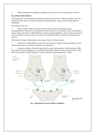 The pharmacology of anti-depressants | DOCX | Brain and Nervous System ...