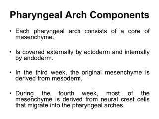 the_pharyngeal_arches.pdf