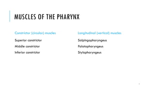 Anatomy of The pharynx and esophagus.pptx