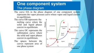 The phase rule | PDF